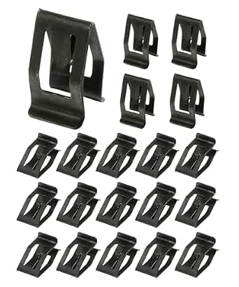 RACOONA 20PCS Car ClipsMetal Retainer ClipsCar Dash Dashboard Console ...