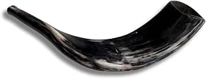 Amazon.com: Original Kosher Full Polished Ram Shofar Horn From Israel ...