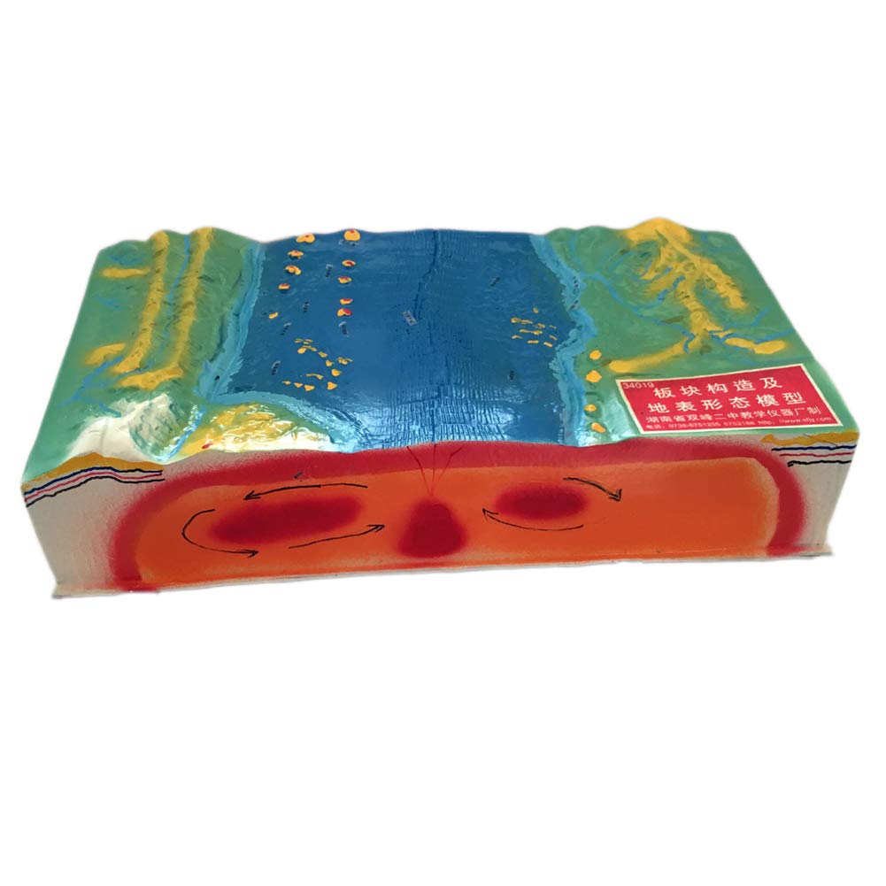 Buy WIEUR Terrain Plate Tectonics Model Globo Terrestre Kit Cards ...