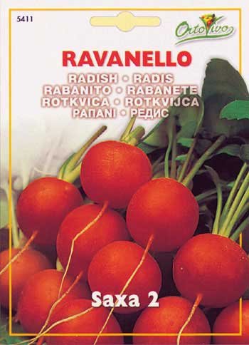 Radish Red Round seeds - Ravanello Saxa 10 grams - appx 900 seeds (Non ...