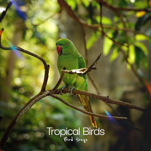 Amazon.com: Tropical Birds : Bird Songs: Digital Music