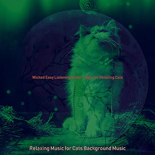 Wicked Easy Listening Guitar - Bgm for Relaxing Cats de Relaxing Music ...