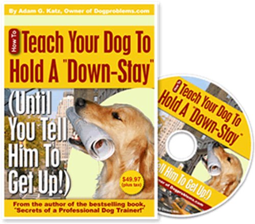 Amazon.com: Dog Training DVD: How To Teach Your Dog To Hold A Down-Stay ...