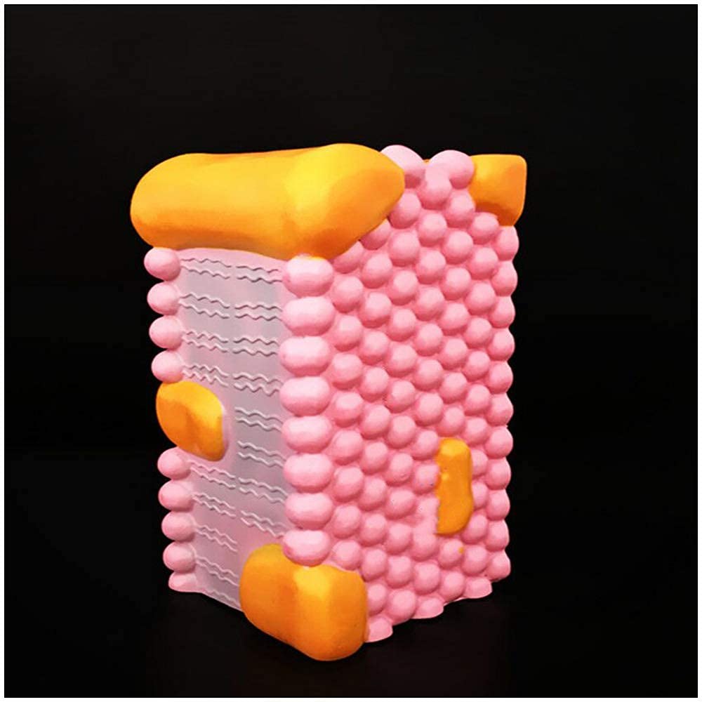 Buy Cell Model - Cell Membrane Structure Model - Composed of ...