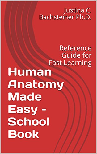 Amazon.com: Human Anatomy Made Easy – School Book: Reference Guide for ...