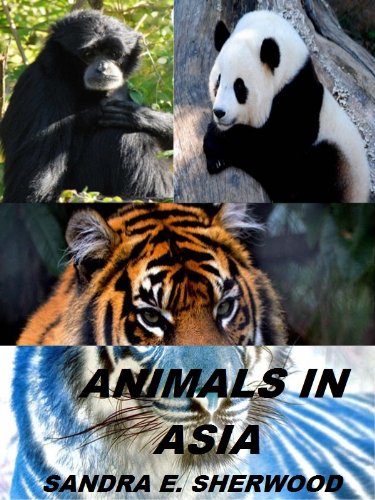 Amazon.com: Animals In Asia - Enjoy And Learn About Your World (Kids ...