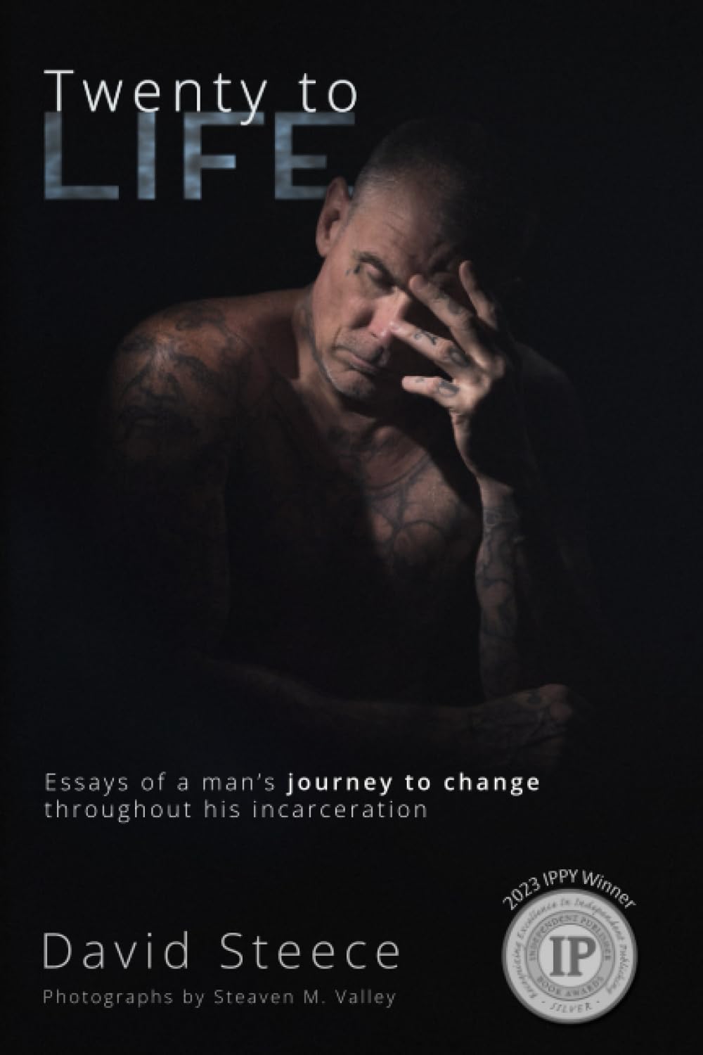 Twenty to Life: Essays of a man's journey to change through his ...