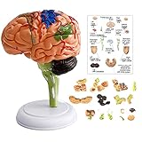 ・ブランド:timiland・製造元:timiland・【注】購入時お受取人のフルネームをご記入ください。 通関にはお受取人のフルネームが必要です。ご協力ありがとうございました。小包を迅速にお手元にお届けしたいと思います！・【製品仕様】サイ...