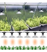 Amazon.com: Danshinro Outdoor Grow Lights for Greenhouse, UL Certified ...