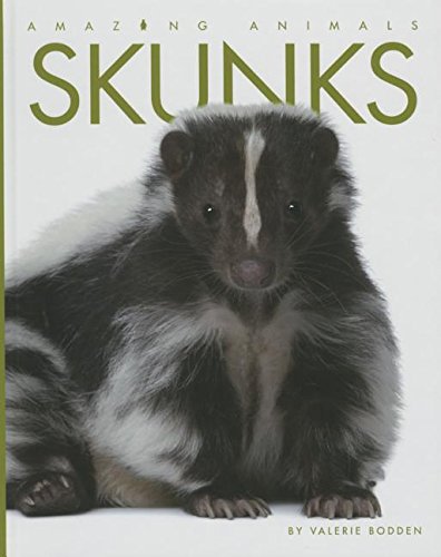 Amazing Animals - Classic Edition: Skunks Hardcover: Valerie Bodden ...