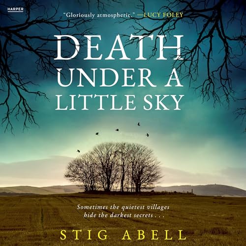 Amazon.com: Death Under a Little Sky: A Novel (Audible Audio Edition ...