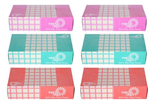 Fresh Ones Soft & Silky Facial Tissue - 100 Pulls (Pack of 6) : Amazon ...