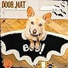 Amazon.com: Ceenna Halloween Bat Bath Mat Coffin Bath Mat Decor ...