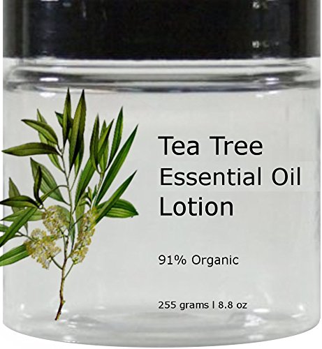 Amazon.com : Tea Tree Lotion : Beauty & Personal Care