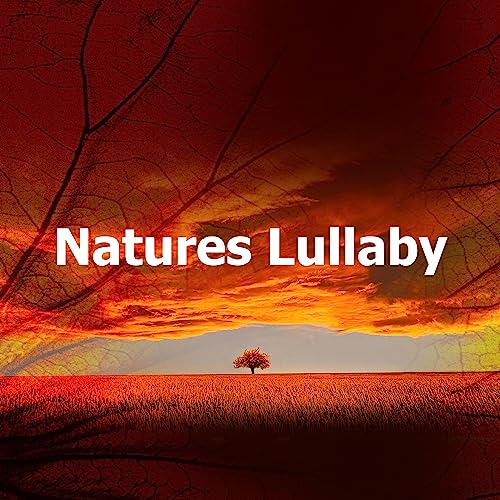 Amazon MusicでNature ProjectのNatures Lullabyを再生する