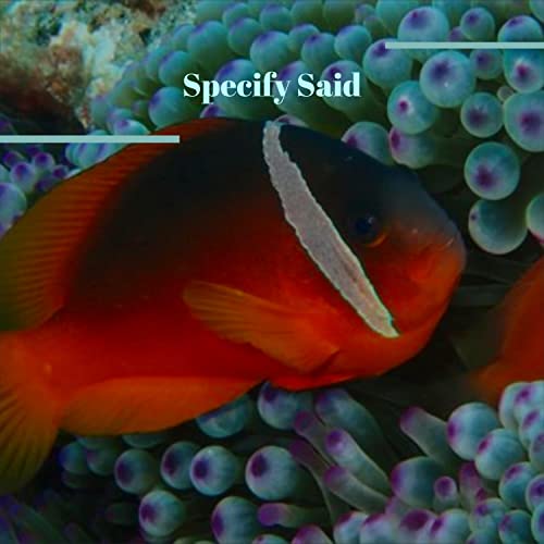 Écouter Specify Said par VARIOUS ARTISTS sur Amazon Music Unlimited