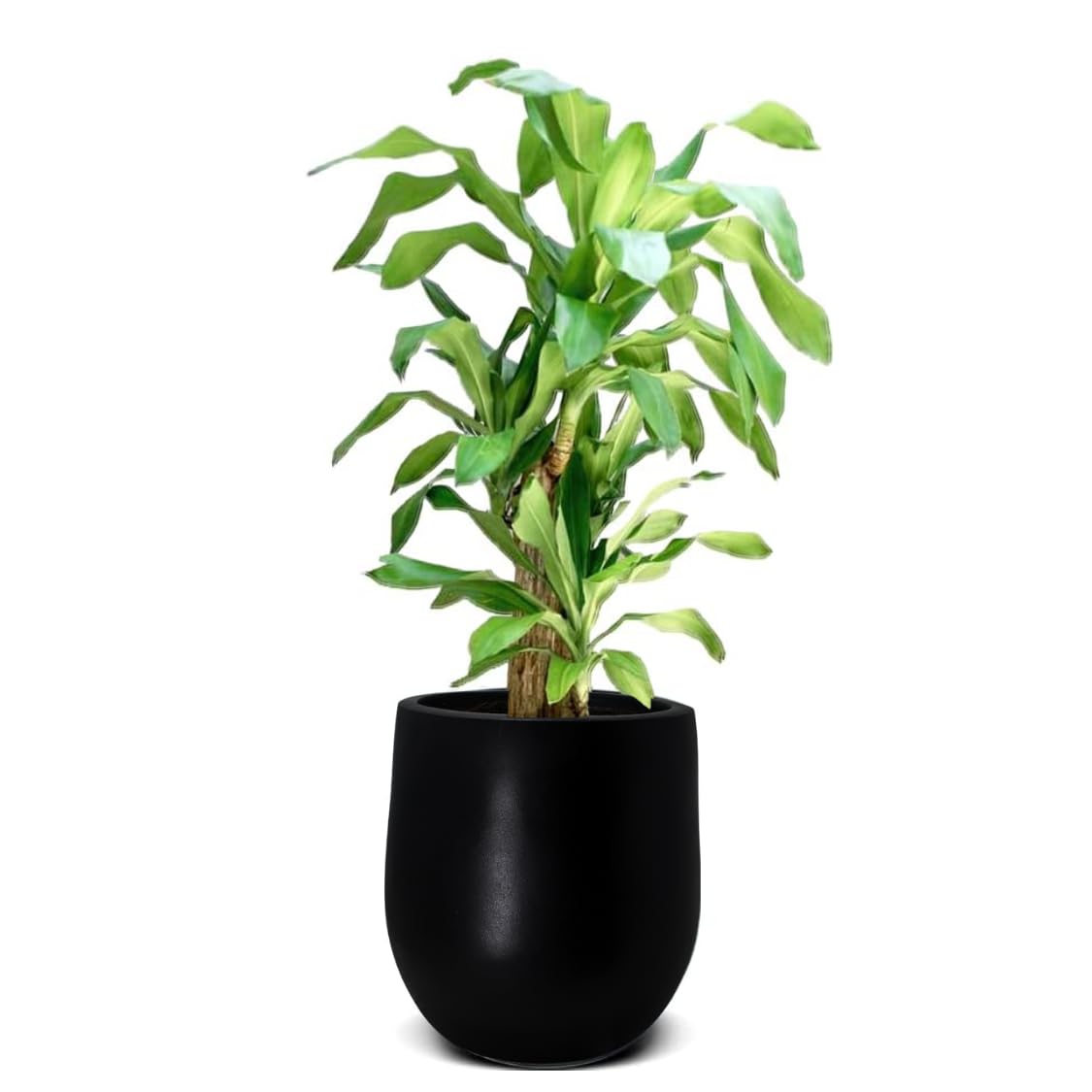 Elly Décor 12 inch Conic fiberstone Planter, Conic Smooth Design ...