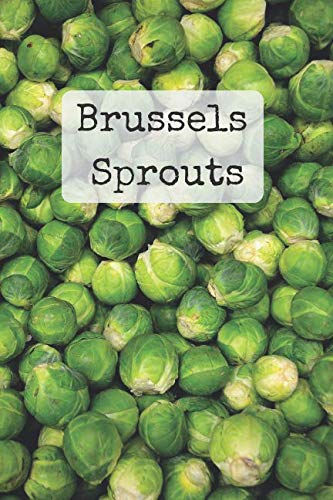 Brussels Notebook: Notebooks for Everybody, Sketch, Calculate, Drawing ...