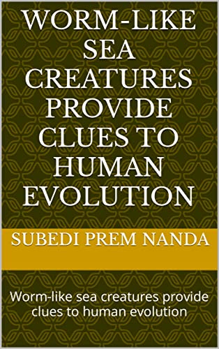 Worm-like sea creatures provide clues to human evolution: Worm-like sea ...