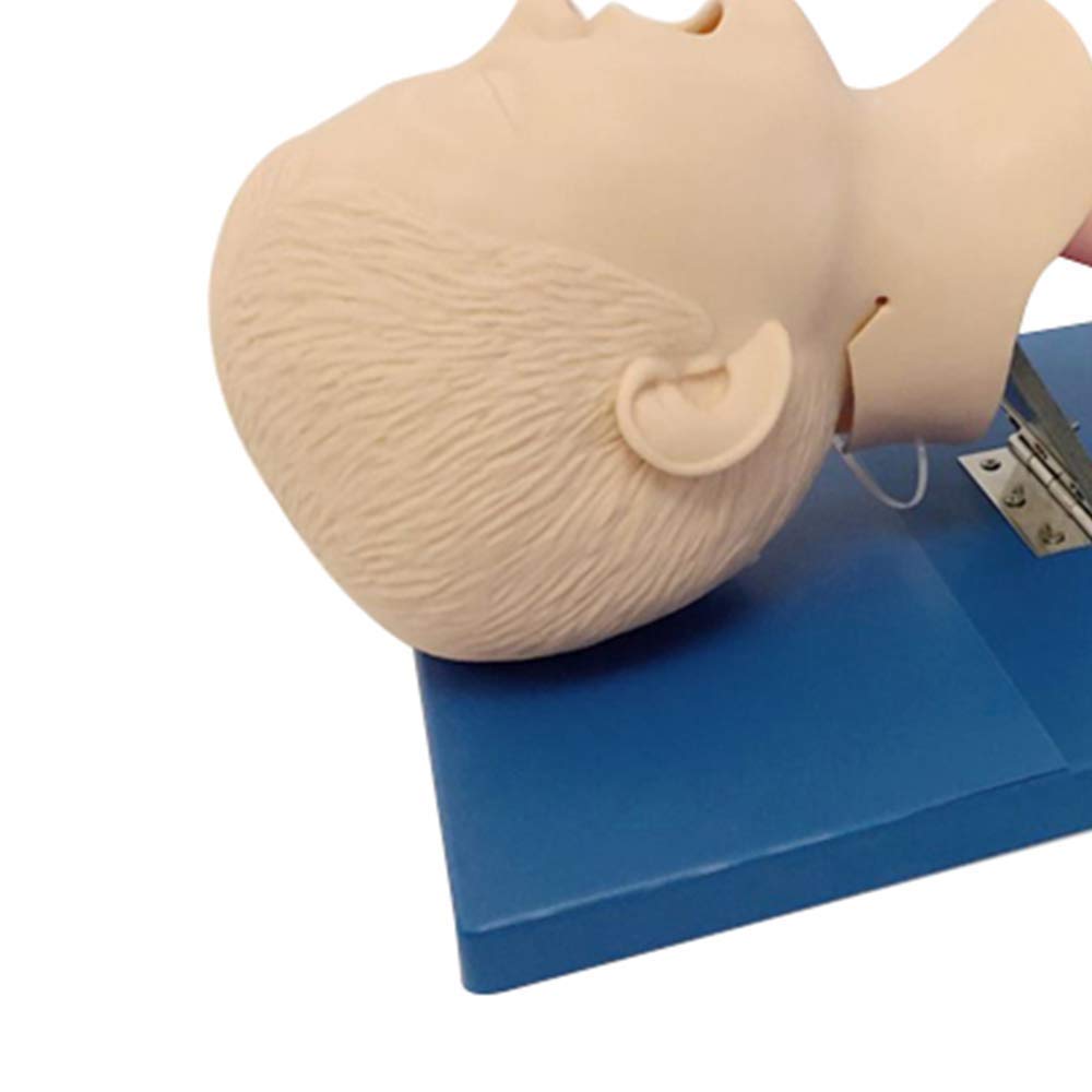 Buy HDGRNCC Adult Intubation Manikin, Oral Nasal Intubation Manikin ...