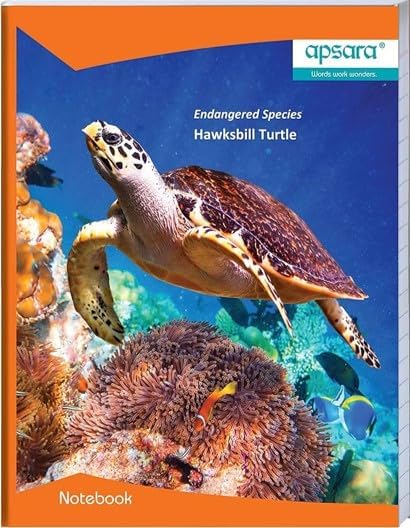 Apsara Kingsize Notebook 24 x 18cm 3 in 1 (Single Line + Four line + 0. ...