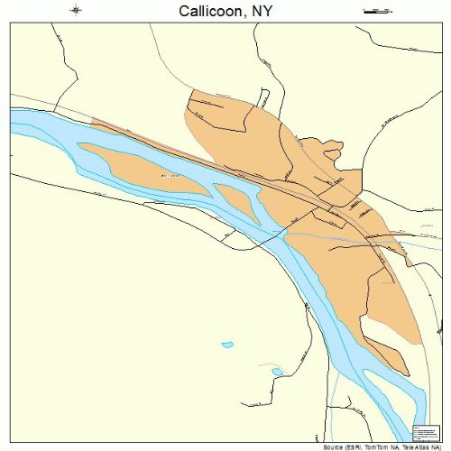 Amazon.com: Large Street & Road Map of Callicoon, New York NY - Printed ...