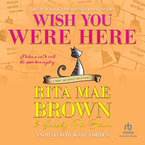 Amazon.com: Wish You Were Here (Audible Audio Edition): Kate Forbes ...