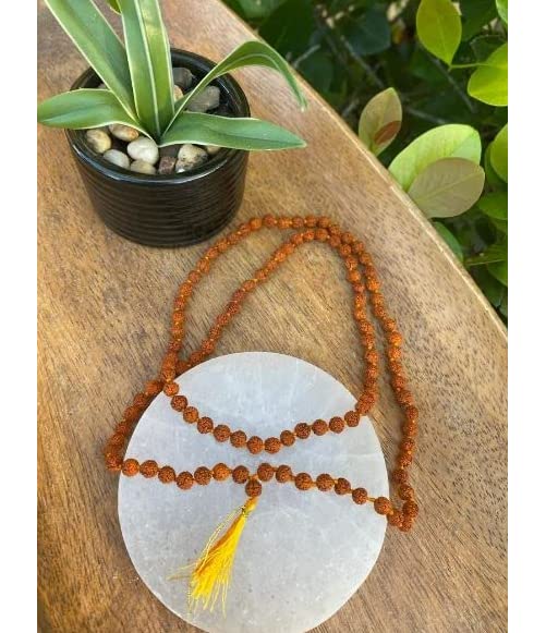 OPTIMUS RUDRAKSHA 5 Mukhi Rudraksha Mala Nepali 108 Beads Original ...