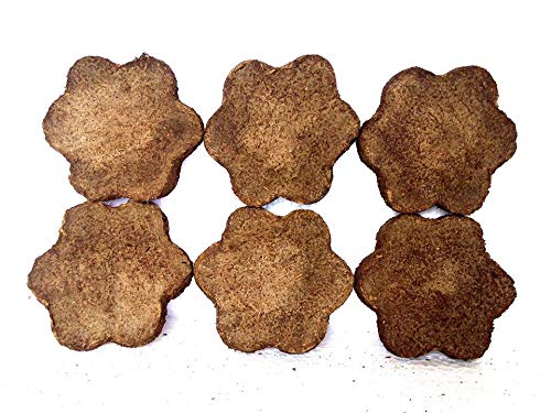 Navya Agriallied Floral Design Shivapriya, Havan Kande/Cow Dung Cake ...