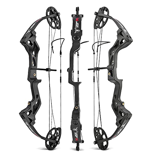 Profi Sportbogen – Die 16 besten Produkte im Vergleich - Ruegeninsel