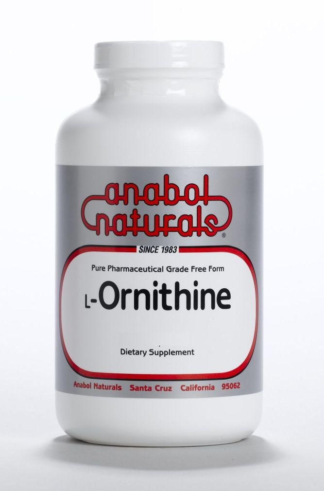 Amazon.com: Anabol Naturals L-Ornithine 500 Grams Free Form Powder ...