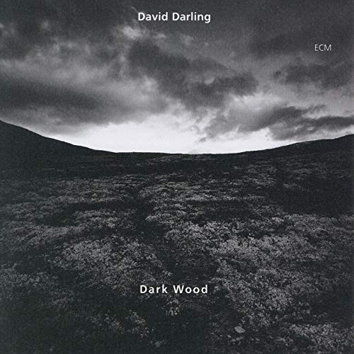 Amazon.com: Dark Wood : David Darling: Digital Music