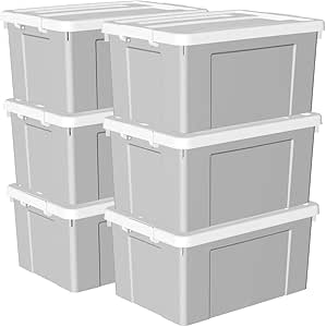 Cetomo 65L*6 Storage Boxes, Plastic Storage Box with Lids, Organizing ...