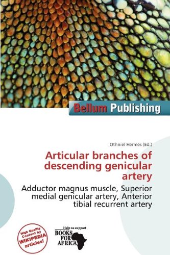 Amazon.co.jp: Articular Branches of Descending Genicular Artery : 本
