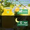 Amazon.com : Fly Traps Outdoor Hanging, 2 Pack Solar Fly Trap with ...