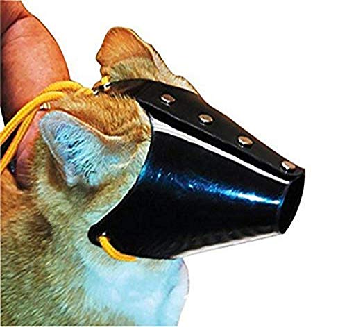 Cat Muzzle – The 15 best products compared - Wild Explained