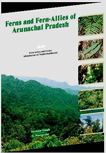 Buy Ferns and Fern Allies of Arunachal Pradesh Vols. II Book Online at ...
