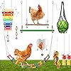 Amazon.com : 10PCS Chicken Toys for Coop, Chicken Enrichment Toys ...