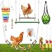 Amazon.com : 10PCS Chicken Toys for Coop, Chicken Enrichment Toys ...