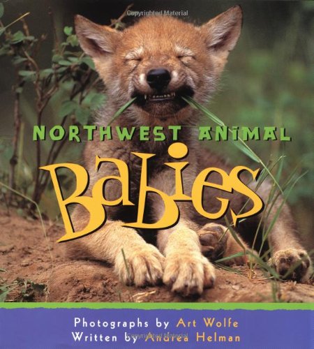 Northwest Animal Babies: Wolfe, Art, Helman, Andrea: 9781570611445 ...
