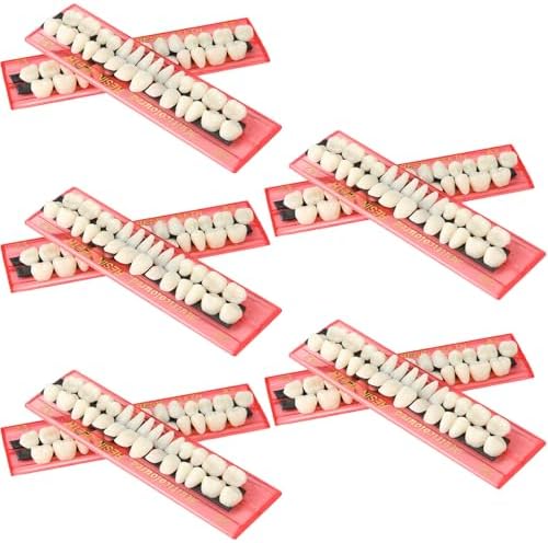 Amazon.com: 56 Pcs False Teeth Dental Complete Acrylic Resin Denture ...