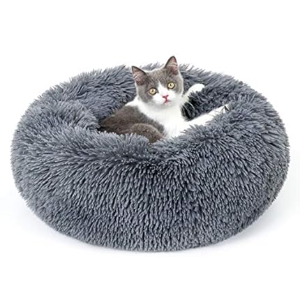 The 29 Best Plush Cat Beds of 2024 [Verified] - Cherry Picks