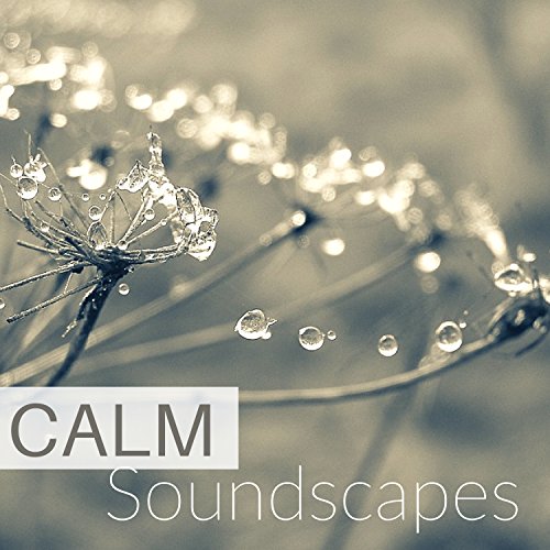 Play Calm Soundscapes - Zen Feng Shui Spa Music for Meditating and ...