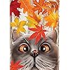 Amazon.com : Toland Home Garden 1112655 Fall Cat and Ladybug Fall Flag ...