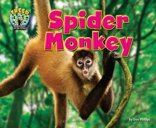Spider Monkey (Science Slam: Treed-Animal Life in the Trees): Phillips ...