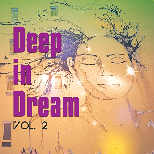 Amazon.com: Deep in Dream, Vol. 2 (Magic Sound-Escapes ) : VARIOUS ...