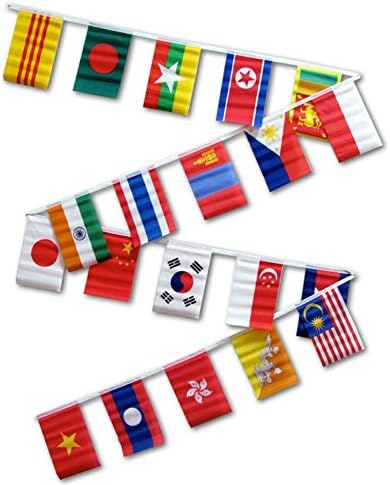 Amazon.com: GentleGirl Asian 48 Flags Banner String Small Mini ...