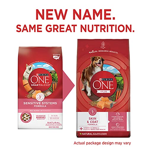 Purina ONE Pure, Delicate Abdomen Dry Canine Meals, +Plus Pores And ...