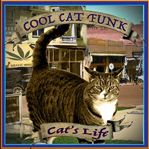 Cat's Life by Cool Cat Funk on Prime Music