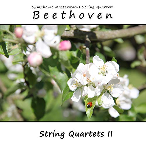 Play Beethoven: String Quartets, Vol. 2 by Symphonic Masterworks String ...